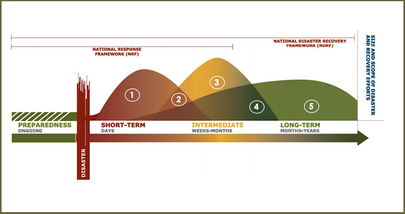Module 2: Disaster Deployment Timelines - Trees of Georgia